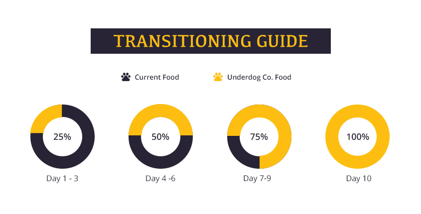 transitioning guide - Underdog Pet Foods | AAFCO Fresh Dog Food Singapore